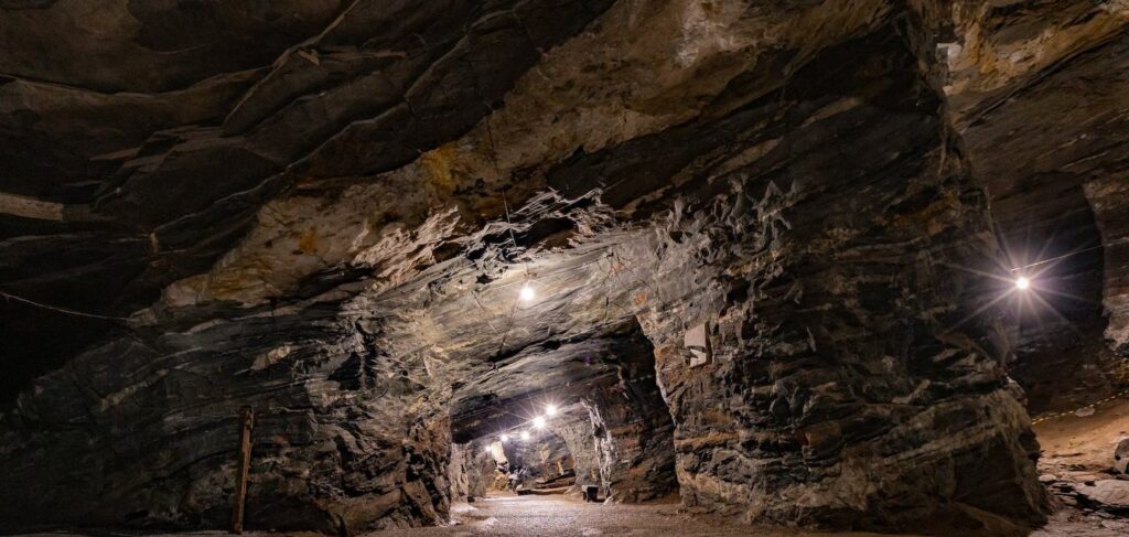 Seafaring Success: The Vital Role of Shipping and Storage Containers ...